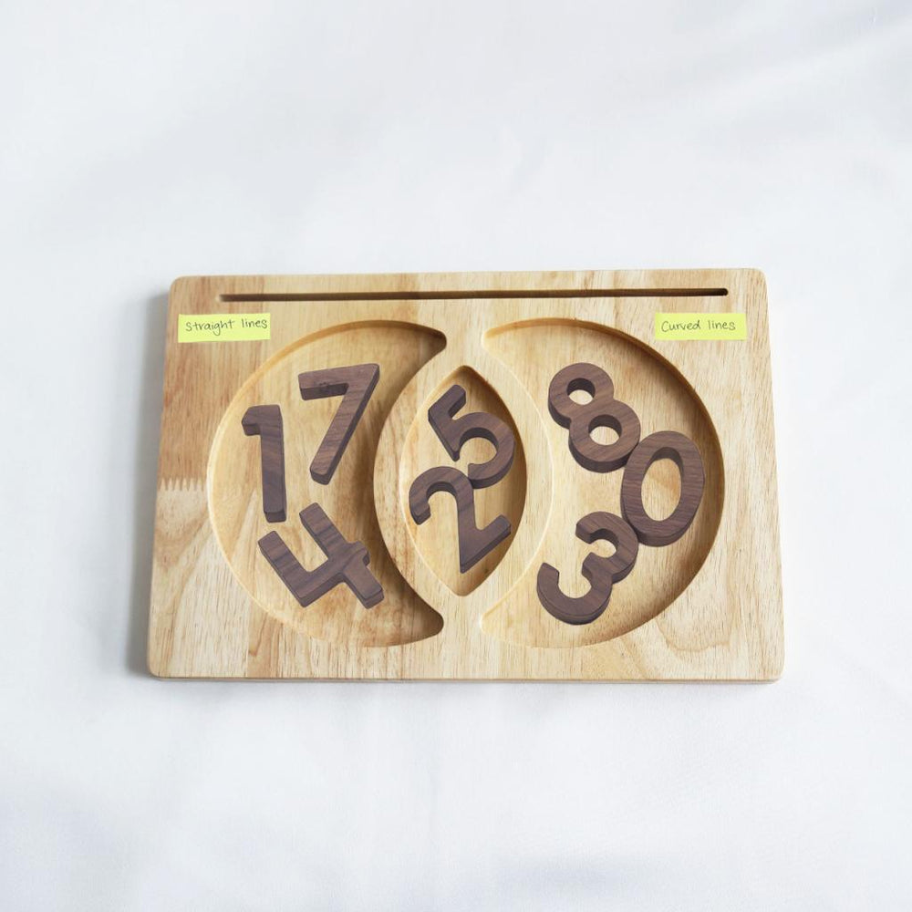 Compare and Contrast Venn Diagram Tray / Sensory Plate / Montessori tr