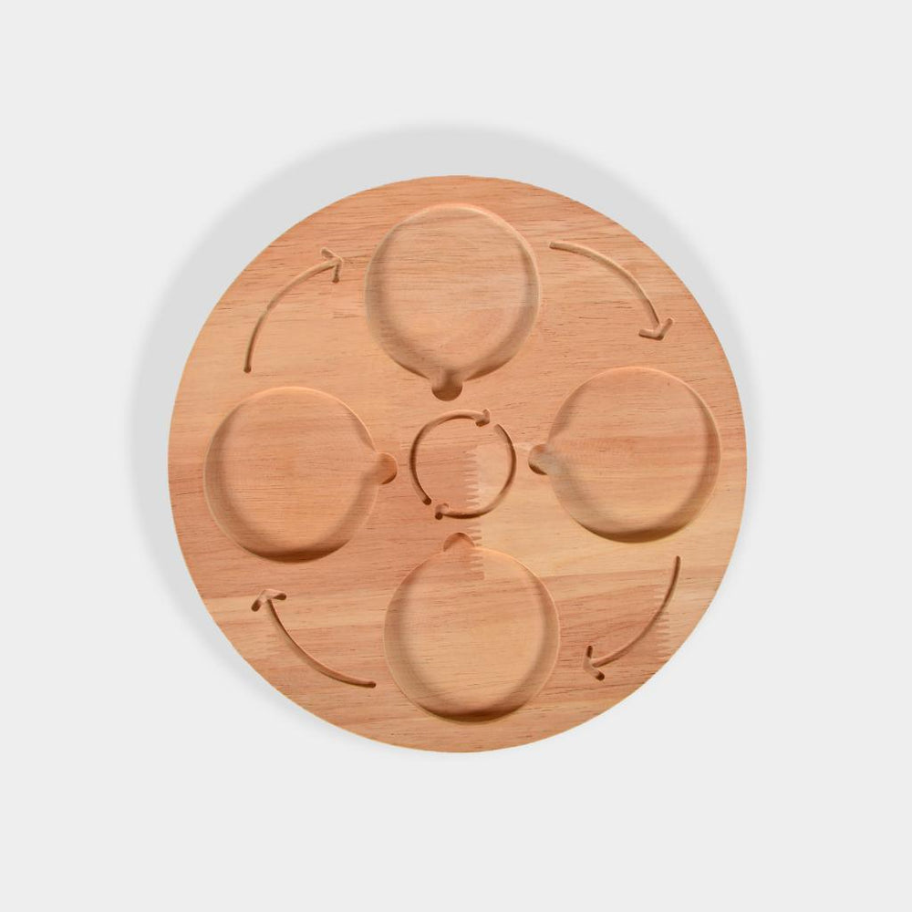 Wooden Life Cycle Board, Nature and Science Learning Aid